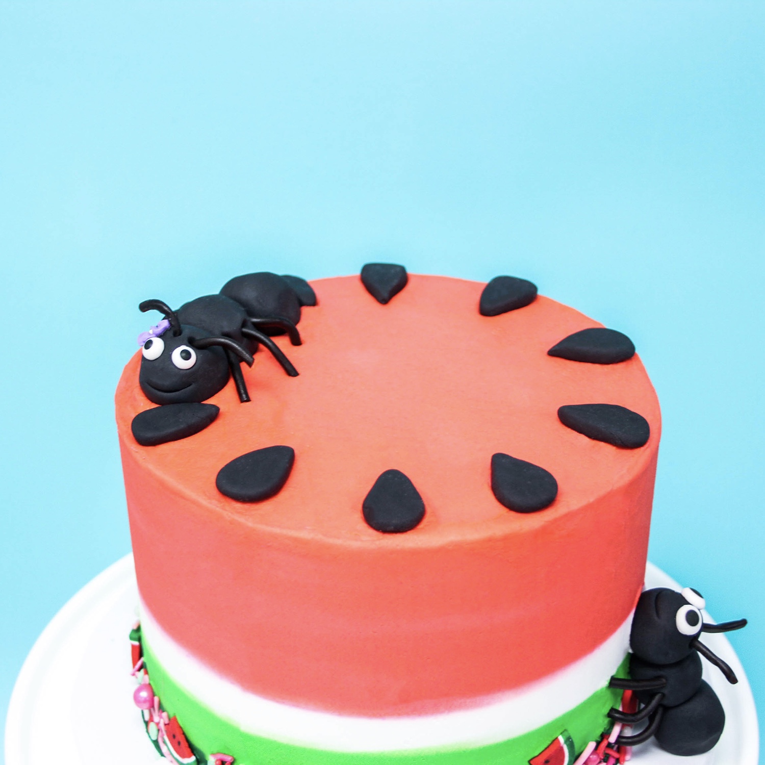Watermelon Ant Cake | Country Kitchen SweetArt